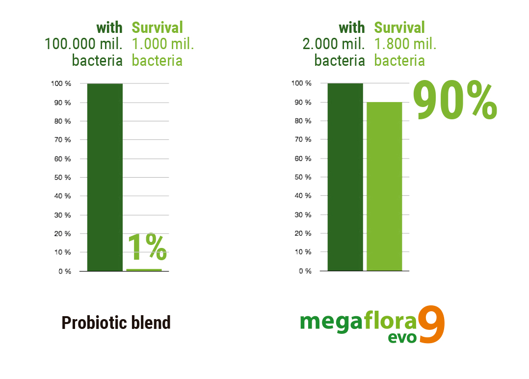 Gastrointestinal survival – Megaflora 9 evo